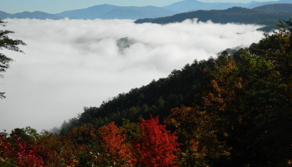 Guided Day Adventure Tours Archives | Smoky Mountain Guides